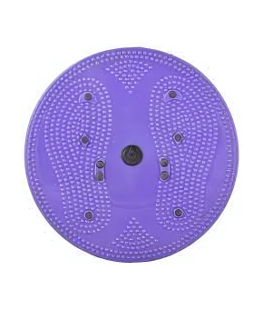 ACUPRESSURE TWISTER PLUS MAT (MINI GYM) - maharshicharak.com